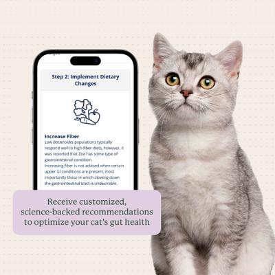 ANIMALBIOME Gut Health Test for Cats - Chewy.com
