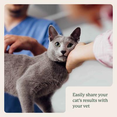 ANIMALBIOME Gut Health Test for Cats - Chewy.com