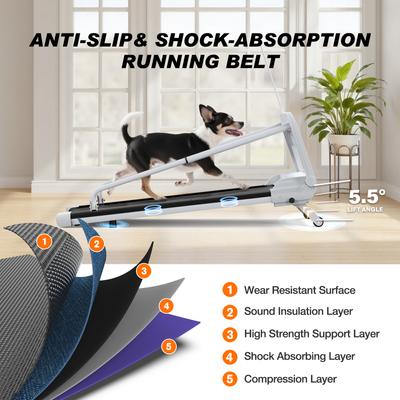 DVPETS Exercise Treadmill Dog Toy, Black & White - Chewy.com