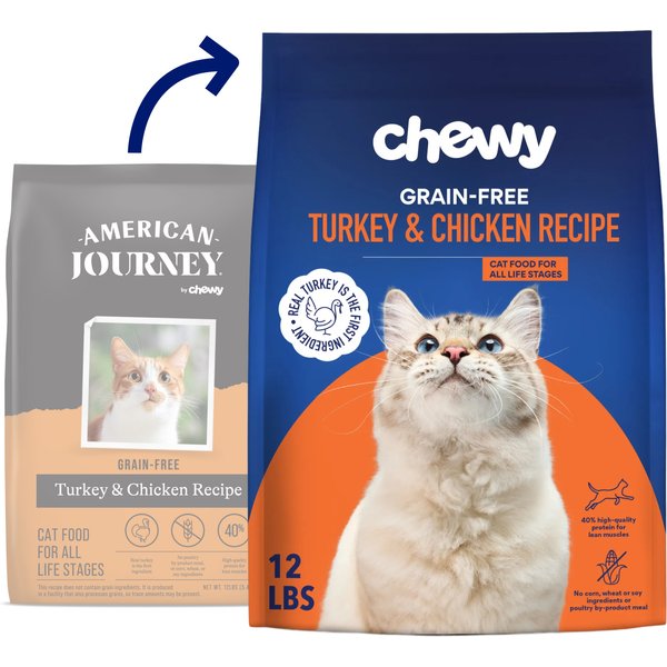 Best Chewy Cat Foods 2026: According to Reviews | Chewy