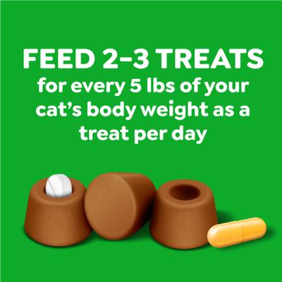 GREENIES Pill Pockets Feline Natural Salmon Flavor Soft Adult Cat ...