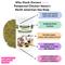 PAMPERED CHICKEN MAMA North Atlantic Sea Kelp Extra Vitamin Mineral ...
