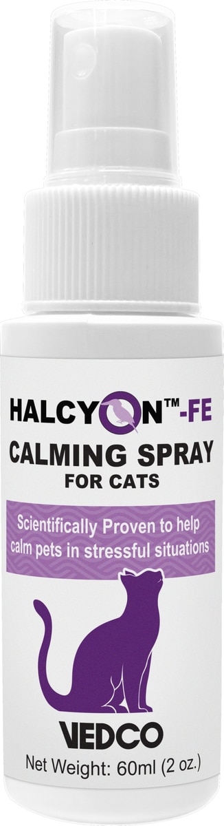 HALCYON Fe Calming Spray for Cats, 60-mL bottle - Chewy.com