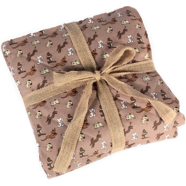 MOLLY MUTT Forever Young Dog Blanket, Large - Chewy.com