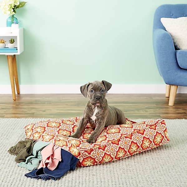MOLLY MUTT Amarillo by Morning Square Dog Bed Duvet Cover, Huge, Medium ...