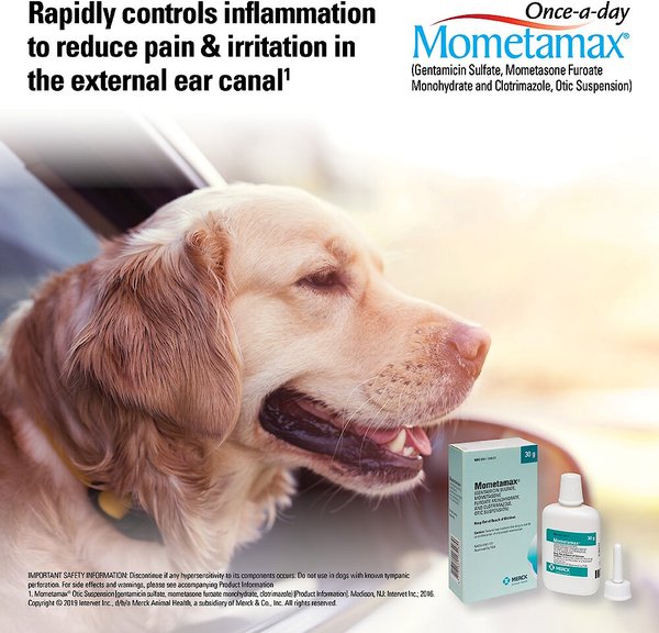 MOMETAMAX (Gentamicin / Mometasone / Clotrimazole) Otic Suspension for Dogs, 15-g - Easy Refills ...