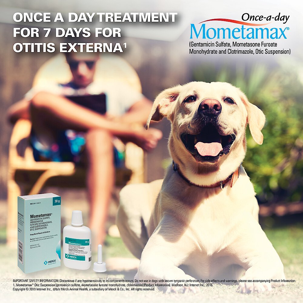 MOMETAMAX (Gentamicin / Mometasone / Clotrimazole) Otic Suspension for Dogs, 7.5-g - Easy ...