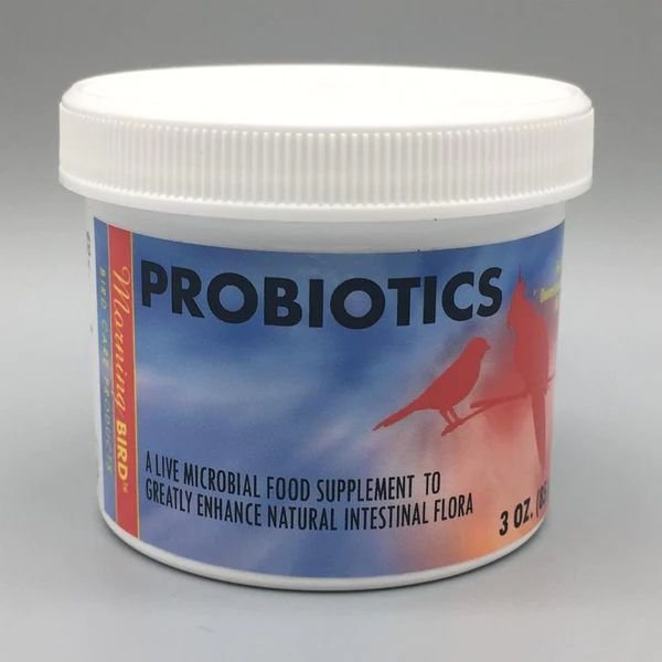 MORNING BIRD Calcium Plus Bird Supplement, 16-fl oz bottle - Chewy.com