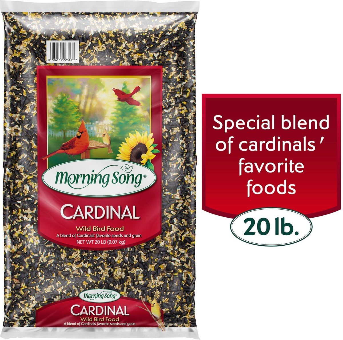 MORNING SONG Cardinal Wild Bird Food, 20-lb bag - Chewy.com