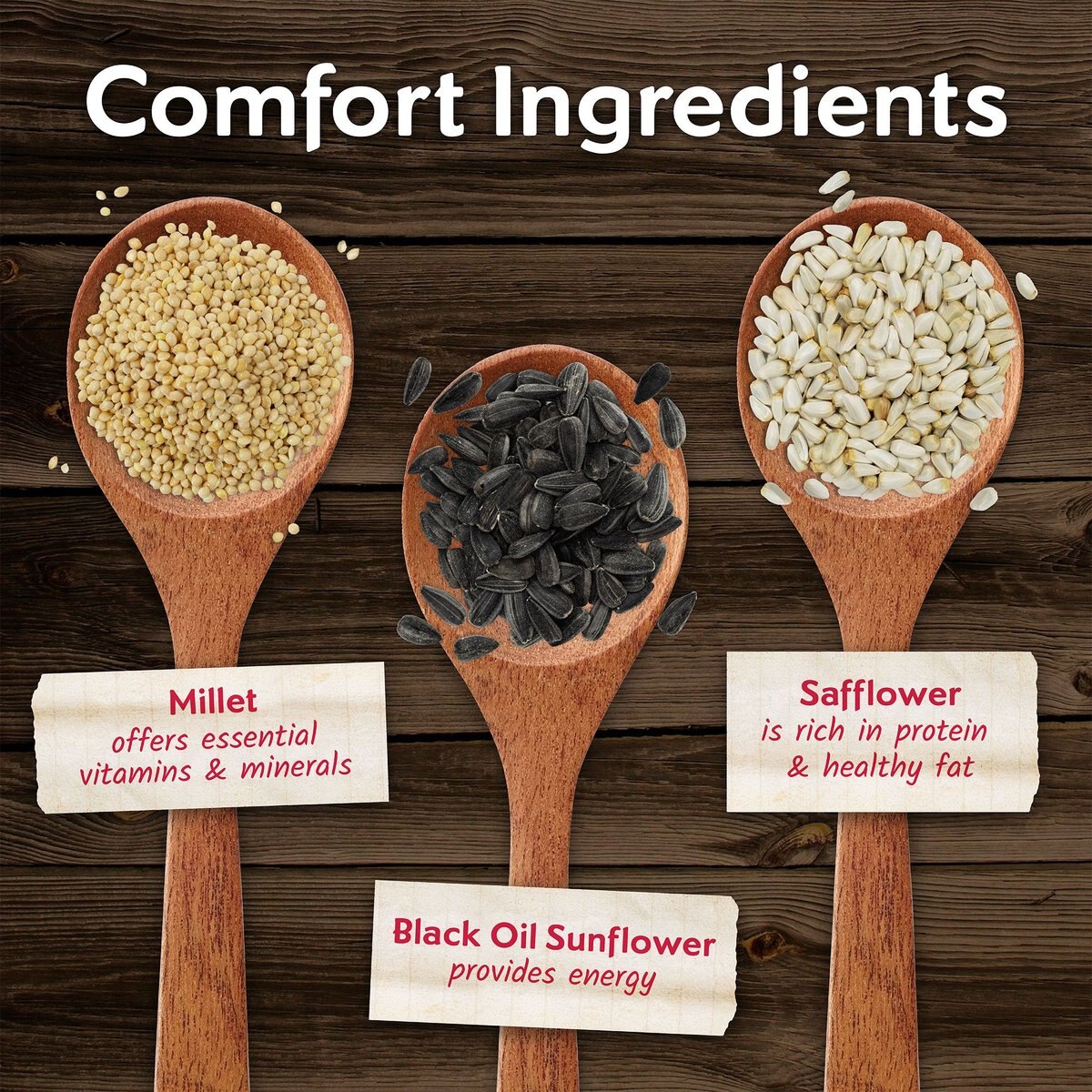 MORNING SONG Cardinal Wild Bird Food, 20-lb bag - Chewy.com