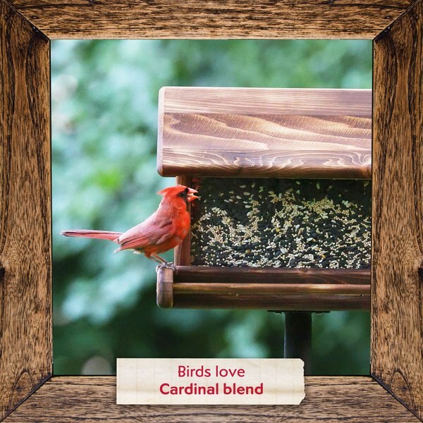MORNING SONG Cardinal Wild Bird Food, 20-lb bag - Chewy.com