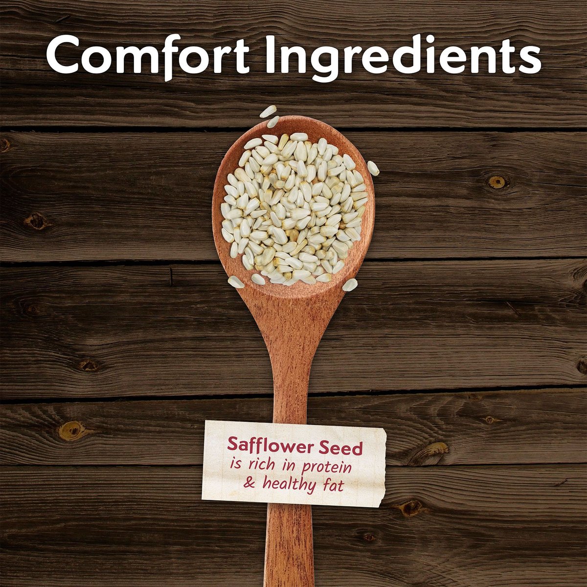 MORNING SONG Safflower Seed Wild Bird Food, 7-lb bag - Chewy.com