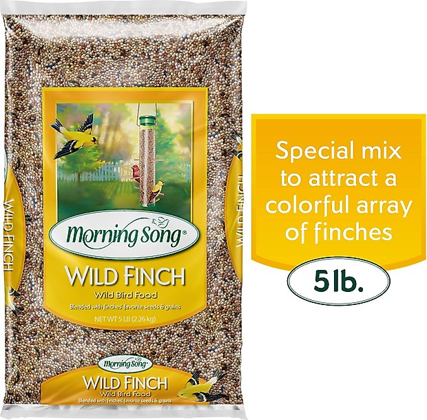 Finch Supplies & Accessories | Chewy