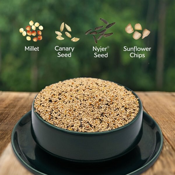 MORNING SONG Wild Finch Wild Bird Food, 5-lb bag - Chewy.com