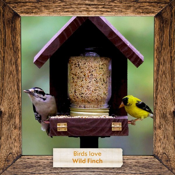 MORNING SONG Wild Finch Wild Bird Food, 5-lb bag - Chewy.com