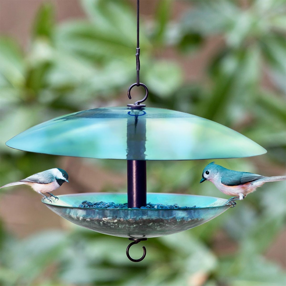 MOSAIC BIRDS Baffle Dome Bird Feeder, 32-oz, Clear - Chewy.com