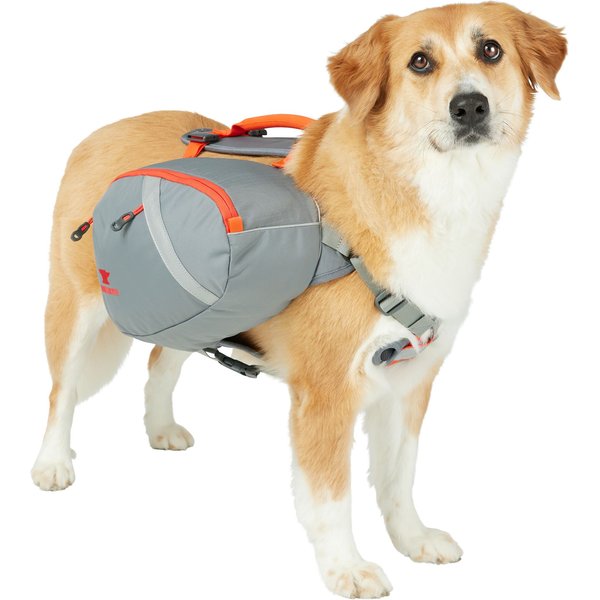 EZYDOG High Performance Summit Dog Backpack, Medium - Chewy.com