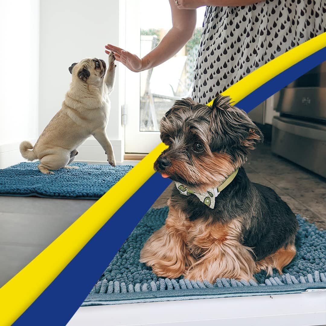MUDDY MAT Highly Absorbent Chenille Dog Door Mat, Atlantic Blue, 24 x ...