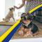 Discontinued - MUDDY MAT Highly Absorbent Chenille Dog Door Mat, Beige ...