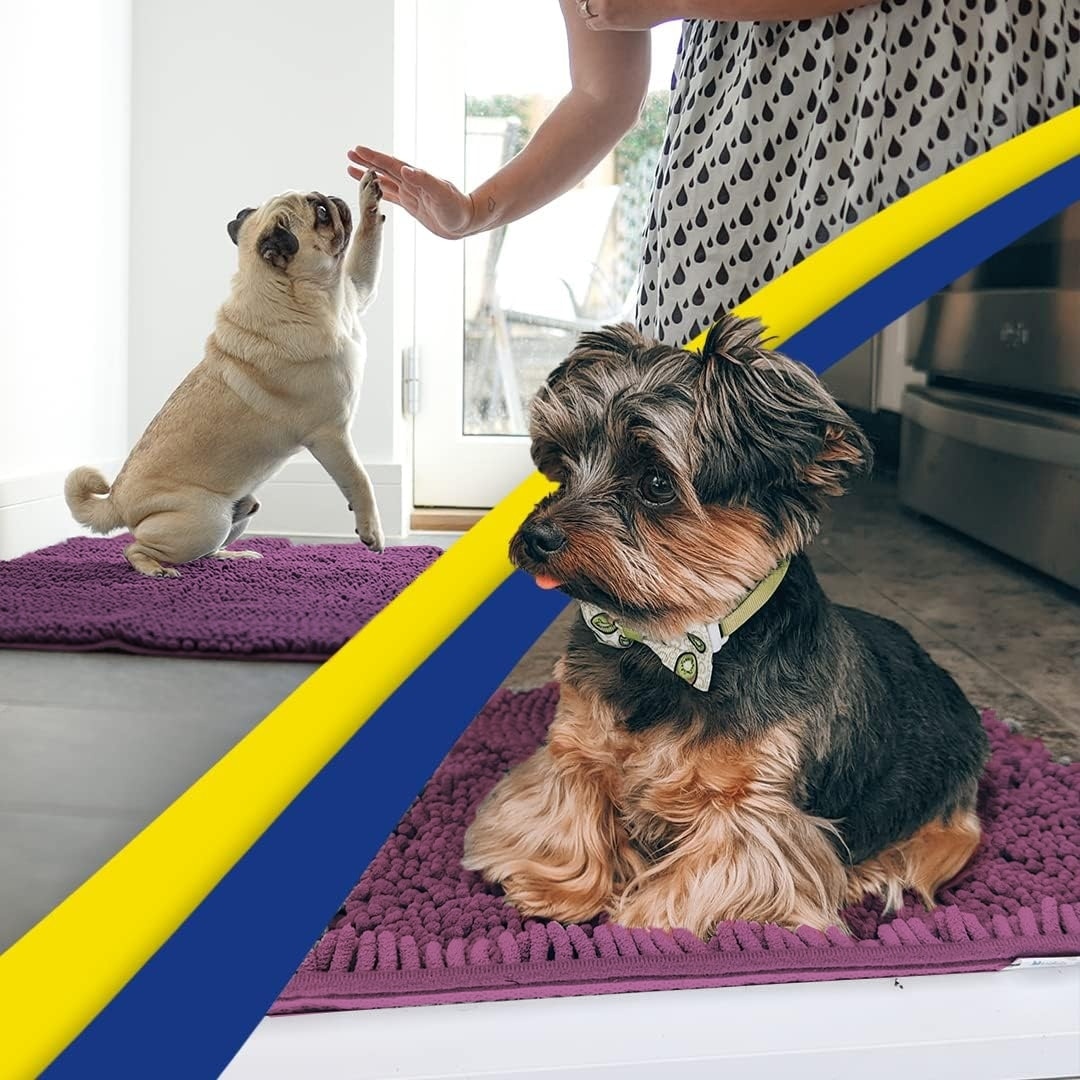 Out of Stock - MUDDY MAT Highly Absorbent Chenille Dog Door Mat Dark ...