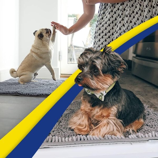 MUDDY MAT Highly Absorbent Chenille Dog Door Mat, Grey, 35 x 60-in ...
