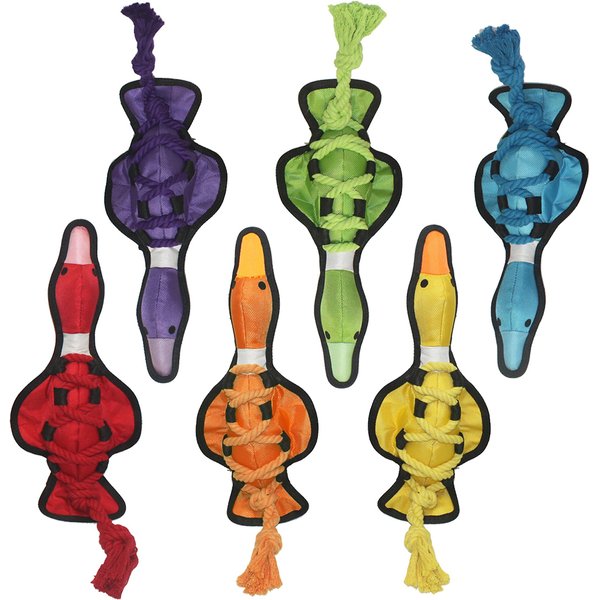 HYPER PET Flying Series Dog Toy, Flying Green Duck - Chewy.com