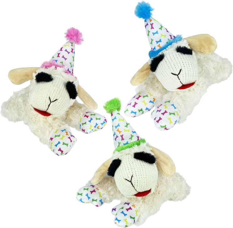 Lamb Chop Dog Toy (Free Shipping) | Chewy
