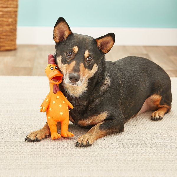 MULTIPET Latex Polka Dot Globken Chicken Squeaky Dog Toy, Color Varies, Large - Chewy.com