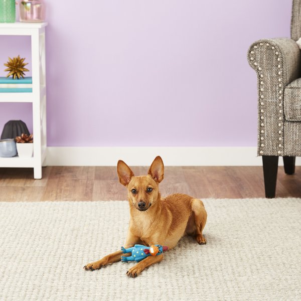 MULTIPET Latex Polka Dot Globken Chicken Squeaky Dog Toy, Color Varies, Mini - Chewy.com