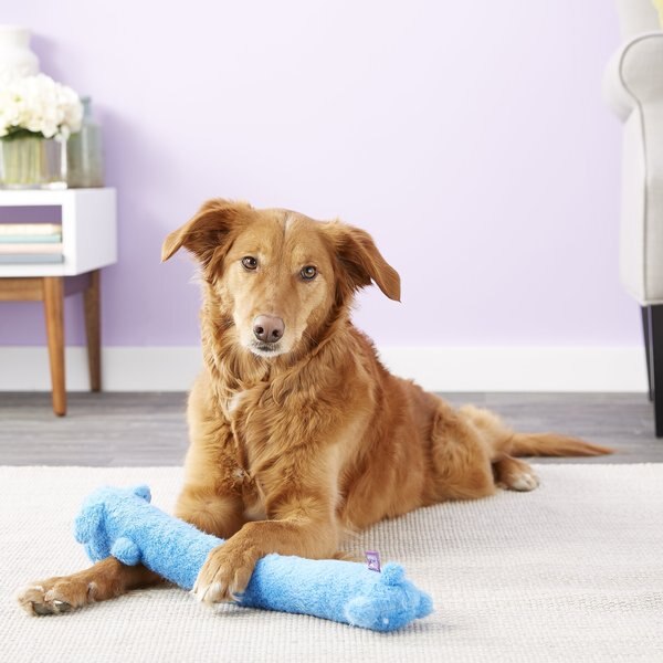 MULTIPET Loofa Dog The Original Squeaky Plush Dog Toy, Color Varies ...
