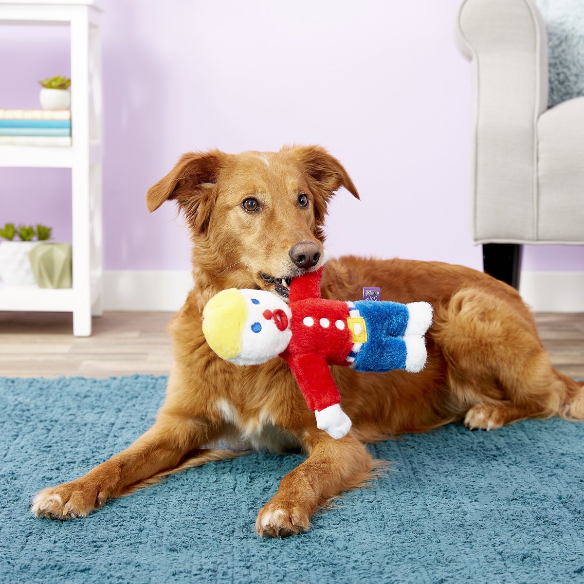 MULTIPET Mr. Bill Plush Dog Toy - Chewy.com