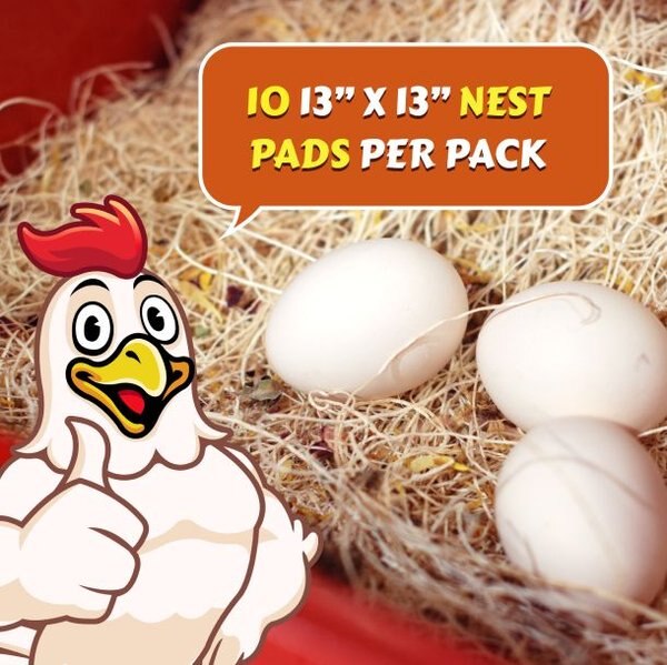 MY FAVORITE CHICKEN Excelsior Chicken Nest Pads - Chewy.com