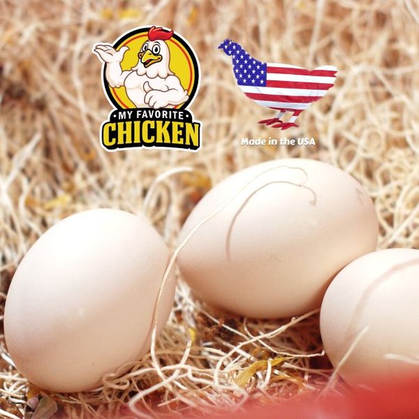 MY FAVORITE CHICKEN Excelsior Chicken Nest Pads - Chewy.com