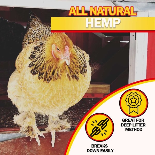 Out of Stock - MY FAVORITE CHICKEN Hemp Chicken Coop Bedding, 33-lb bag ...