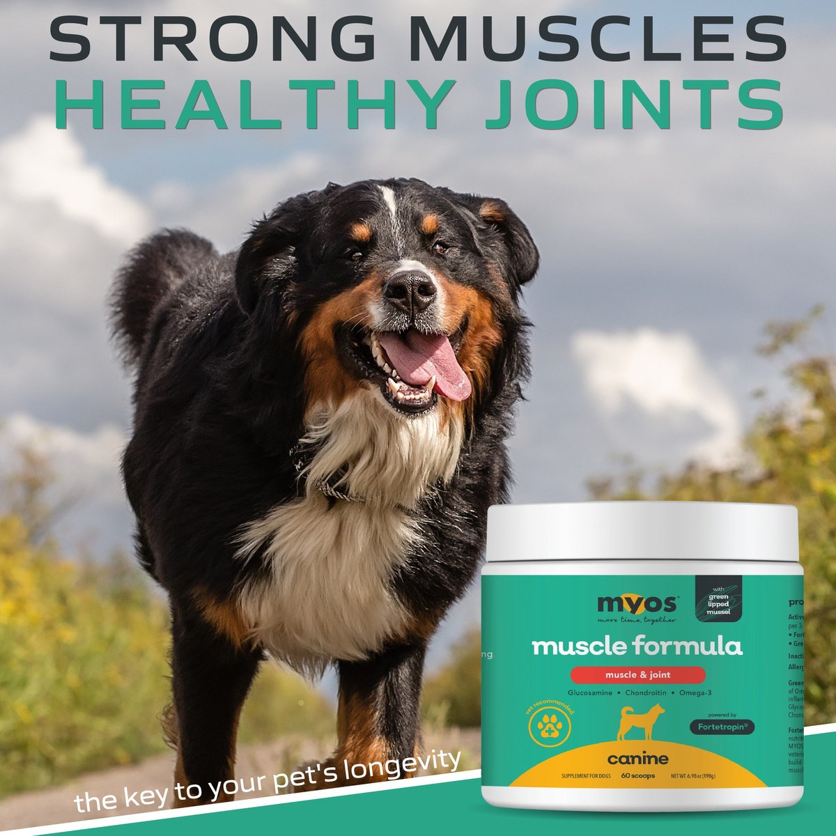 MYOS Canine Muscle & Joint Formula with Fortetropin & Green Lipped ...