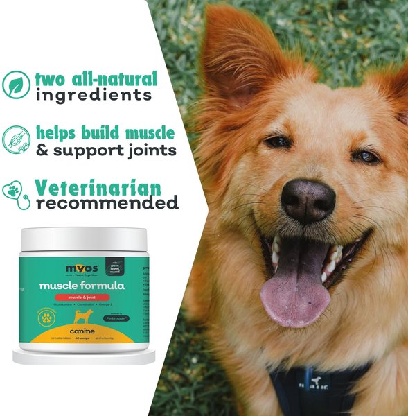 MYOS Canine Muscle & Joint Formula with Fortetropin & Green Lipped Mussel Supplement for Dogs, 6 ...