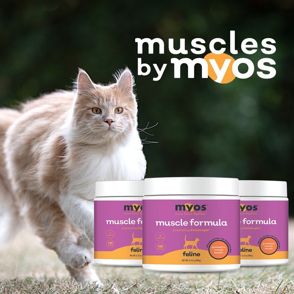 MYOS Feline Muscle Formula Powder Cat Supplement, 180-g - Chewy.com