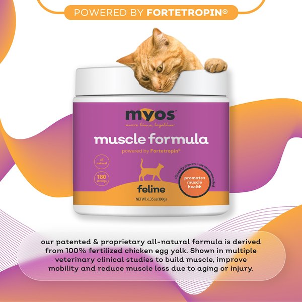 MYOS Feline Muscle Formula Powder Cat Supplement, 180-g - Chewy.com
