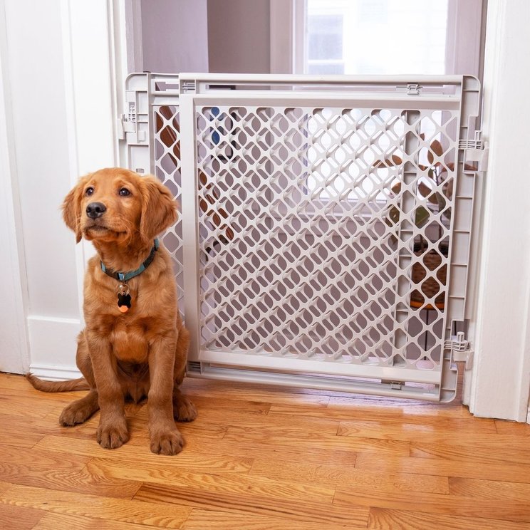 DOG GATES FOR STAIRS (Free Shipping) | Chewy