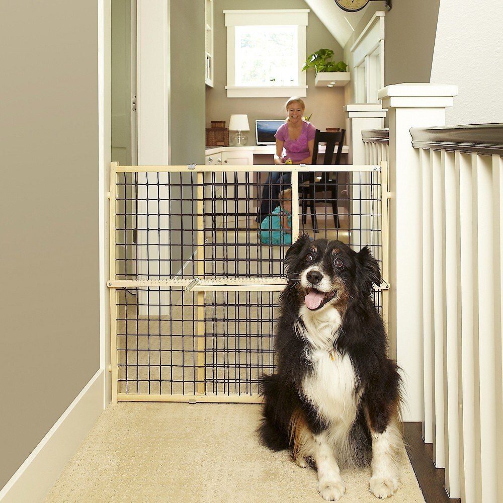 MYPET Extra Wide Wire Mesh Gate for Dogs & Cats - Chewy.com