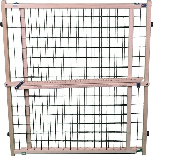 MYPET Extra Wide Wire Mesh Gate for Dogs & Cats - Chewy.com