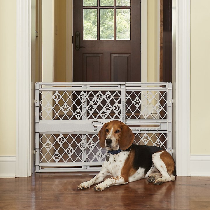 Dog Gates: Small, Ex-Wide, Ex-Tall, Low Price (Free Shipping) | Chewy