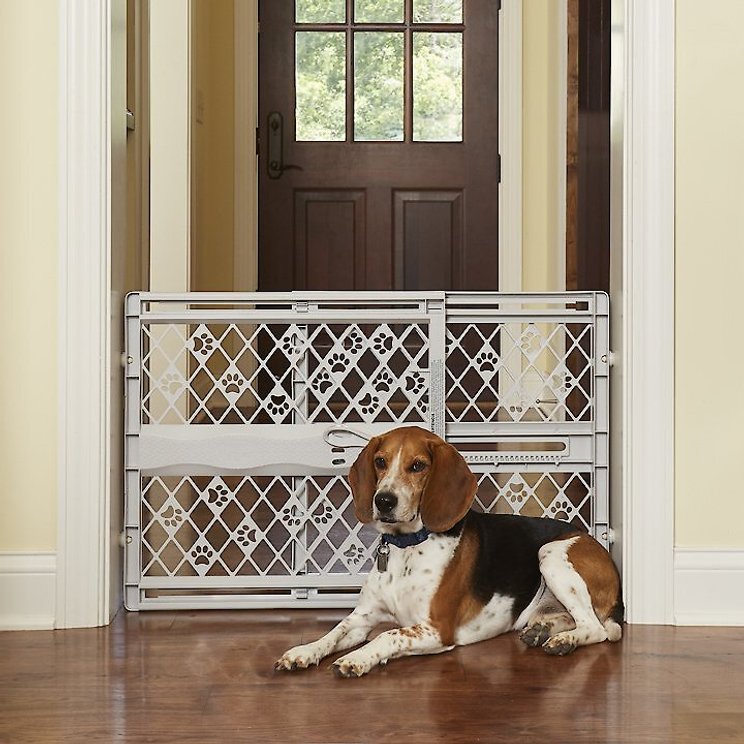 Dog Gates: Small, Ex-Wide, Ex-Tall, Low Price (Free Shipping) | Chewy
