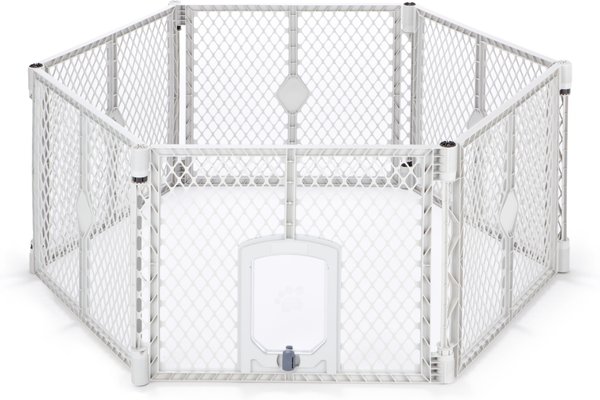 MYPET Petyard Passage Plastic Dog Pen - Chewy.com