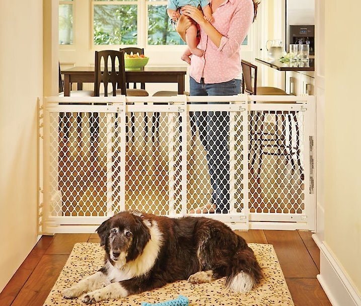 Hardware Wall Mounted Dog Gates (Free Shipping) | Chewy