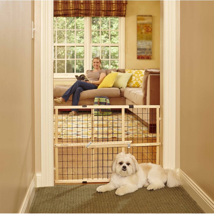 Dog Gates: Small, Ex-Wide, Ex-Tall, Low Price (Free Shipping) | Chewy