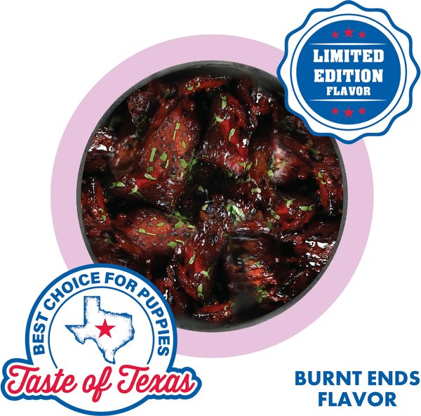 N-BONE Puppy Teething Rings Taste of Texas Burnt Ends Flavor Dog Dental ...