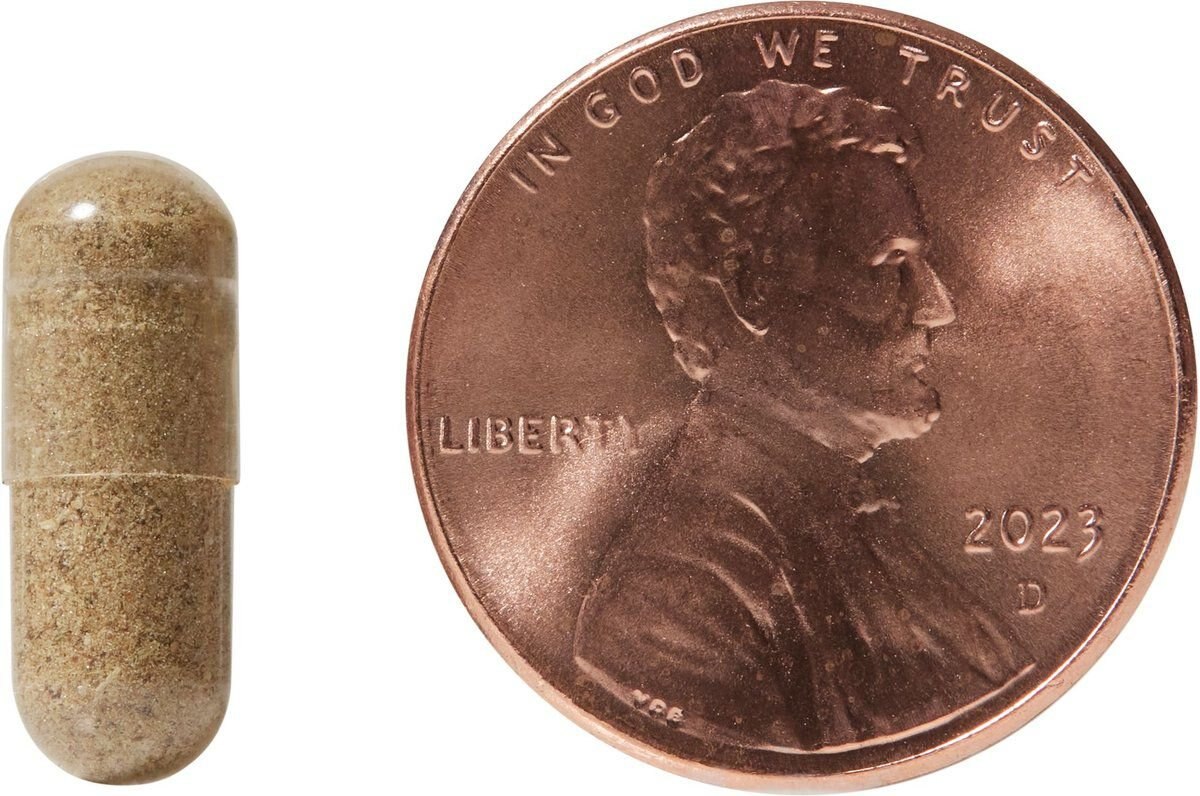 NATURA PETZ ORGANICS Stone Breaker Starter Pack Homeopathic Medicine ...