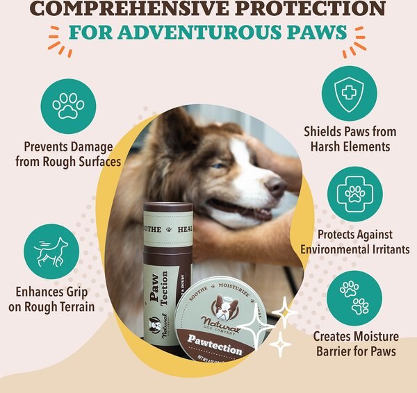 NATURAL DOG COMPANY PawTection Dog Paw Protector Balm, 2-fl oz stick ...