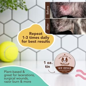 10 Best Dog Skin Care Products 2025: According to Reviews | Chewy